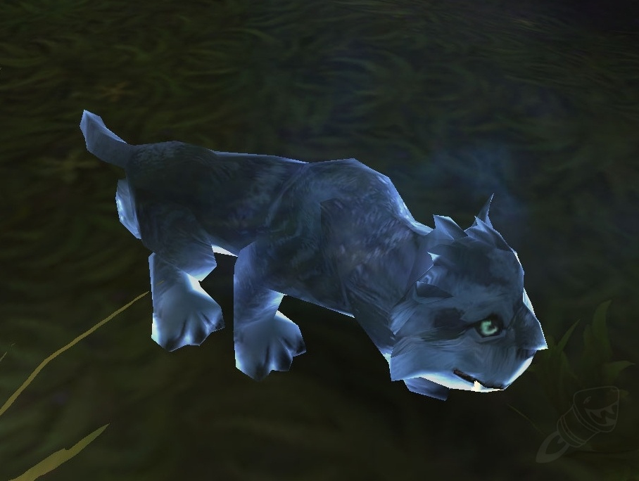 Risen Saber Kitten - Item - World of Warcraft