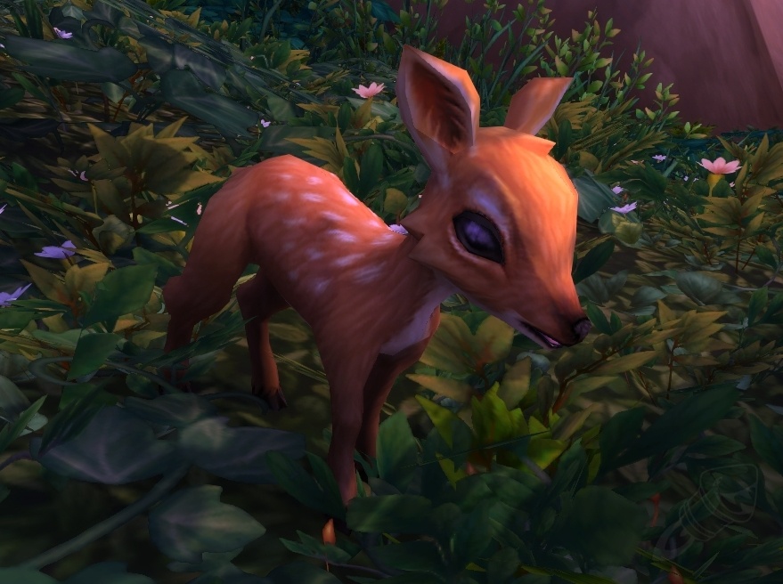 Sablehorn Fawn - NPC - World of Warcraft