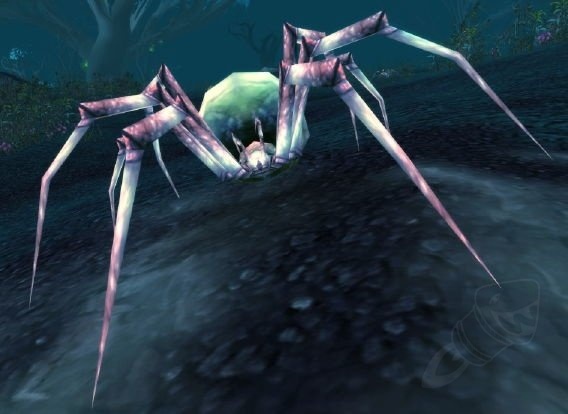 Spindleweb Spider - NPC - World of Warcraft