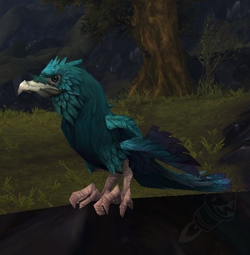 Cuervo tormentoso voraz - PNJ - World of Warcraft