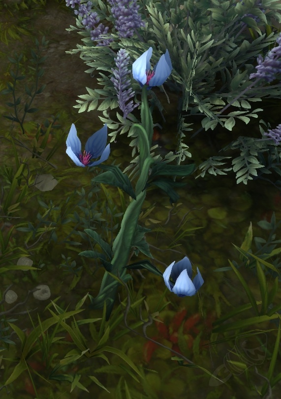 Timeworn Songflower - Object - World of Warcraft