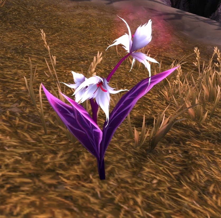 Aethril Sample - Quest - World of Warcraft