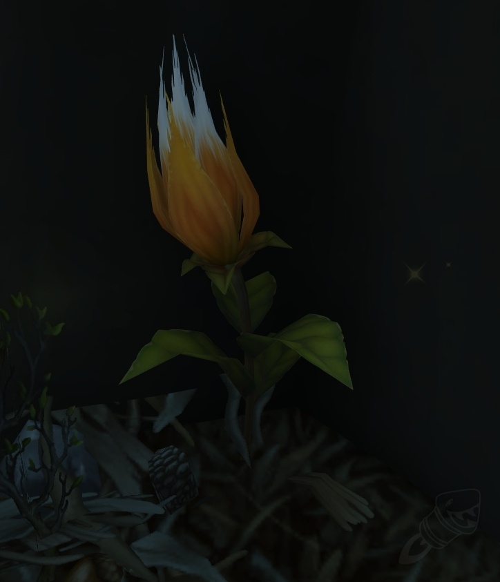 Foxflower Sample - Quest - World of Warcraft