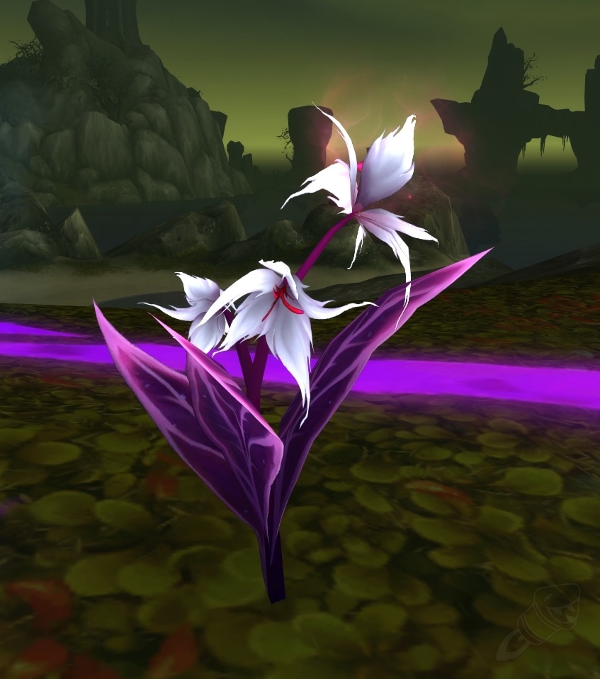 Tiras de seda harapientas - Misión - World of Warcraft
