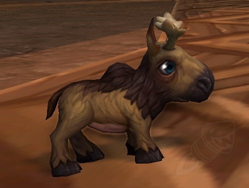 Baby Elderhorn - NPC - World of Warcraft