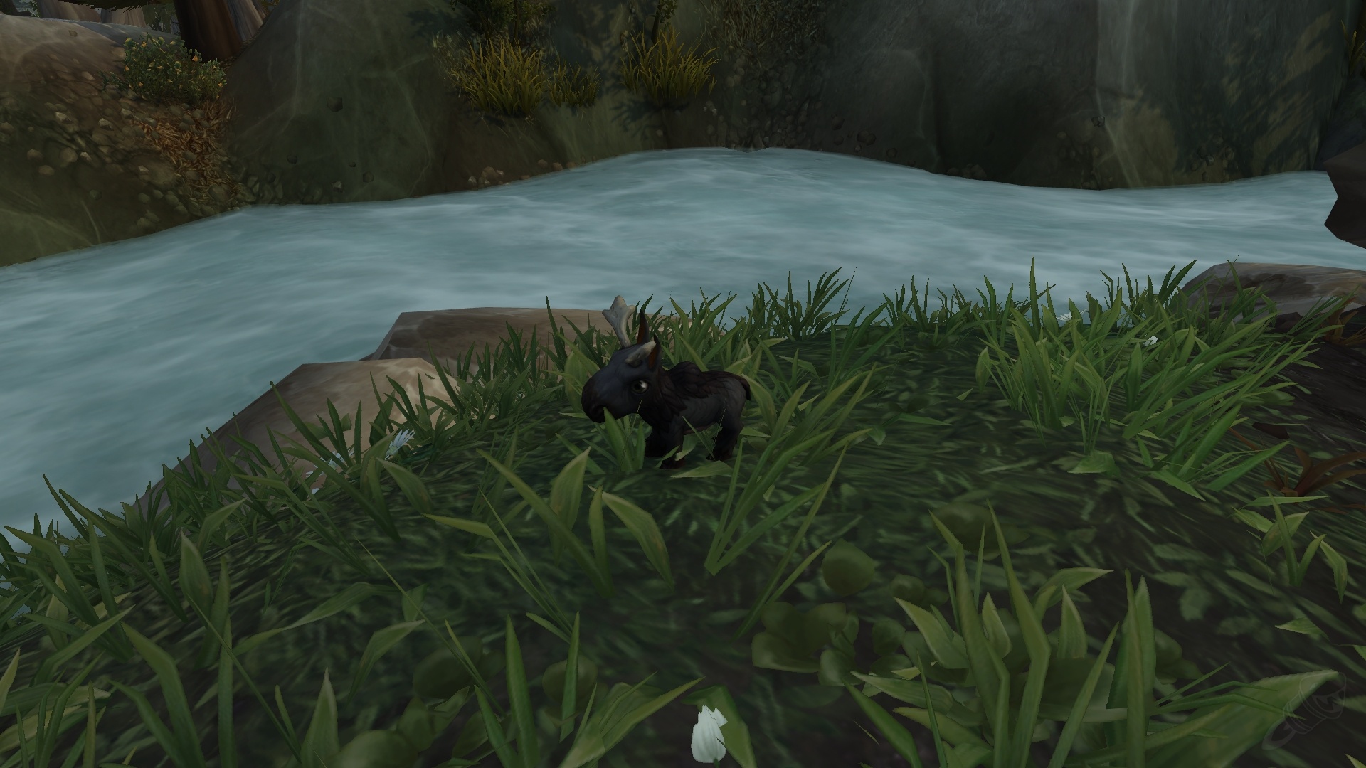 Baby Elderhorn - NPC - World of Warcraft