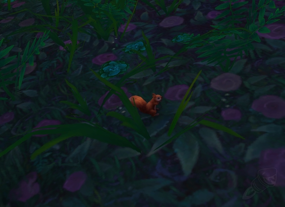 Redtail Squirrel - NPC - World of Warcraft