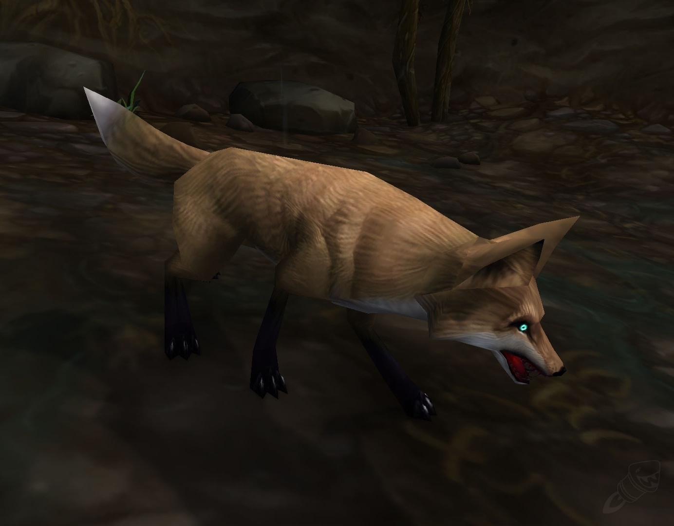 Zorro habitarrisco - PNJ - World of Warcraft