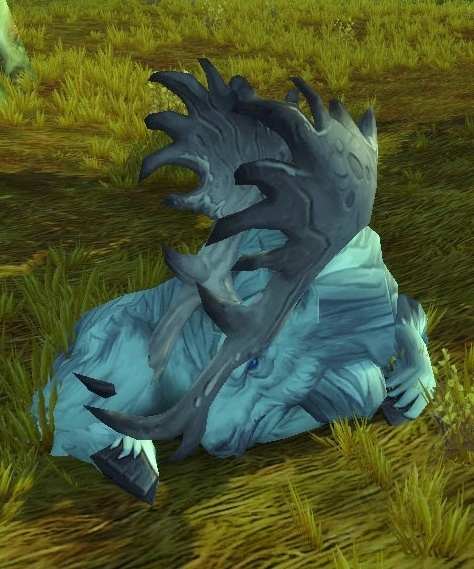 Eche'ro - NPC - World of Warcraft