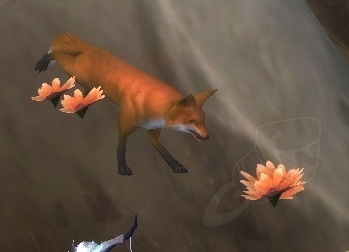 Frenzied Fox - NPC - World of Warcraft