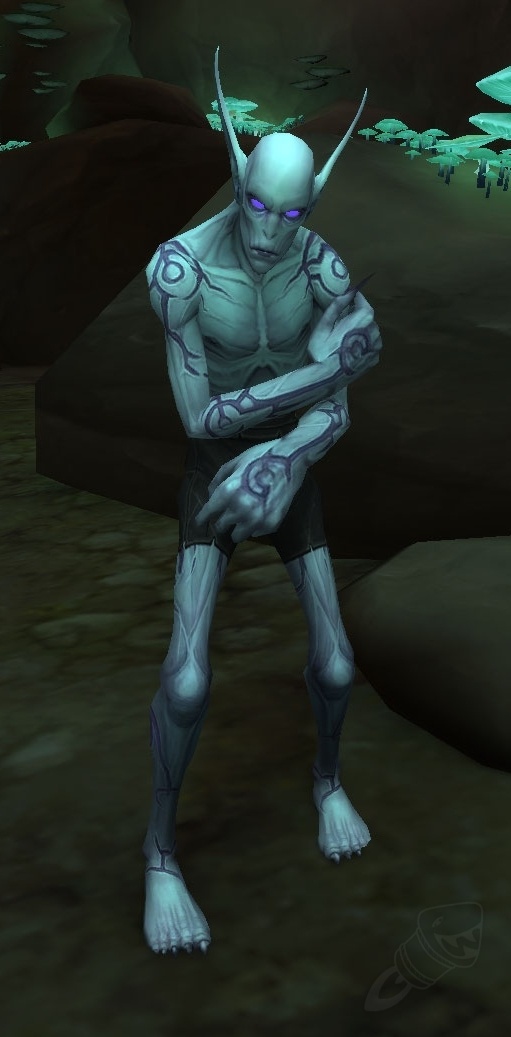 Llorian - NPC - World of Warcraft