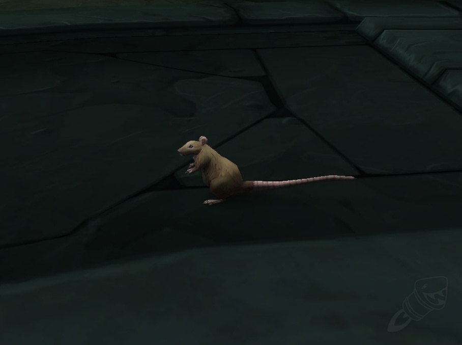 Cavern Rat - NPC - World of Warcraft