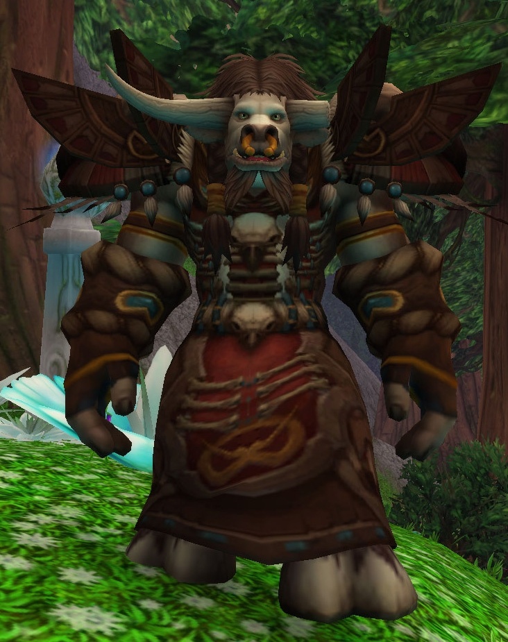 Archidruida Hamuul Tótem de Runa - PNJ - World of Warcraft