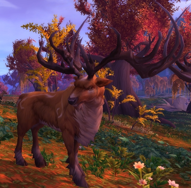 Cerf corne-noire - PNJ - World of Warcraft