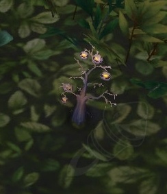 Fjarnskaggl Frond - NPC - World of Warcraft