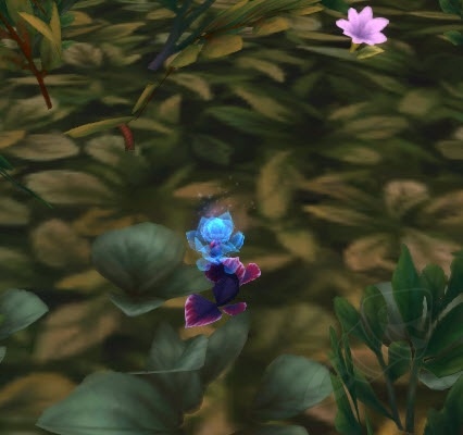 Starlight Rosebud - NPC - World of Warcraft