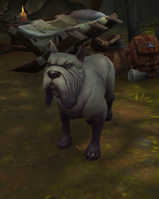 Baron - NPC - World of Warcraft