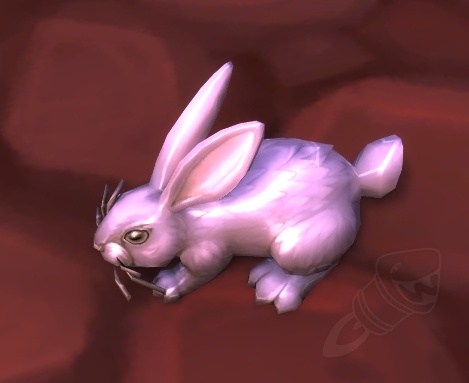 산솜꼬리토끼 - NPC - 월드 오브 워크래프트