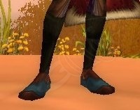 Glider's Foot-Wraps - Item - World of Warcraft