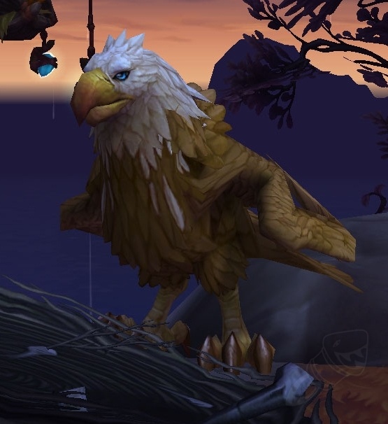Great Eagle - NPC - World of Warcraft