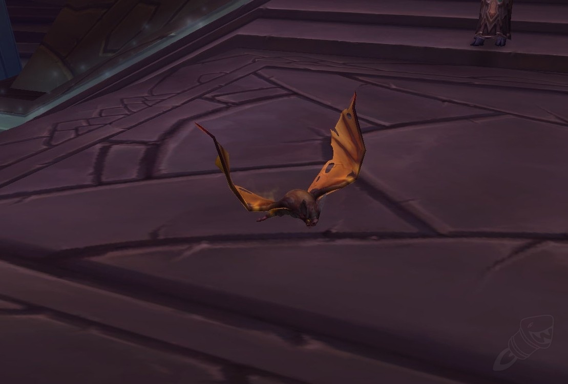 Firebat Pup - Spell - World of Warcraft