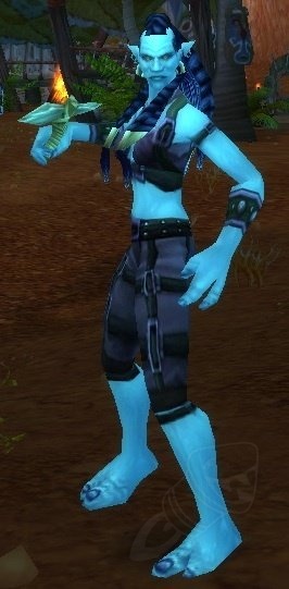 Sen'jin Guardian - NPC - World of Warcraft