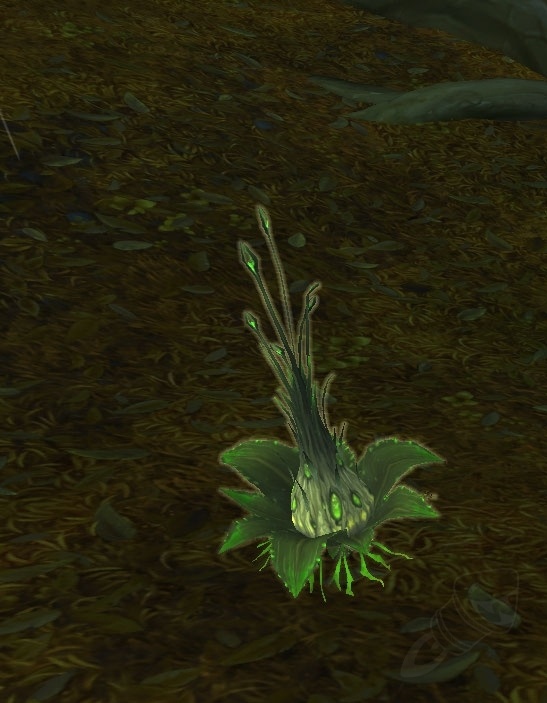 Felwort - Object - World of Warcraft