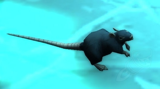 Rat - NPC - World of Warcraft