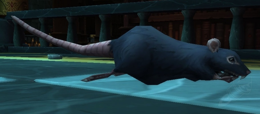 Rat - NPC - World of Warcraft