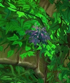 Dreamleaf Bloom - NPC - World of Warcraft
