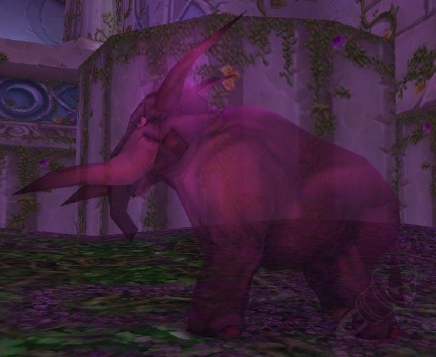 Elekk Rosa De Teldrassil Pnj Wotlk Clásico