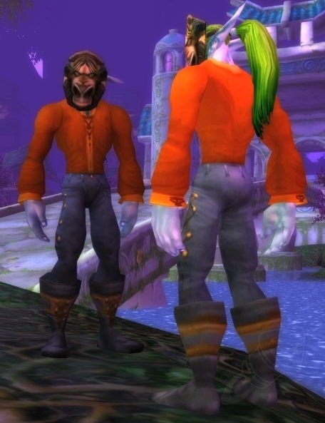 Night Elf Commoner - NPC - WotLK Classic