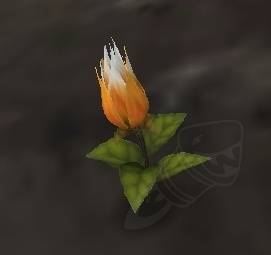 Foxflower Sprout - NPC - World of Warcraft
