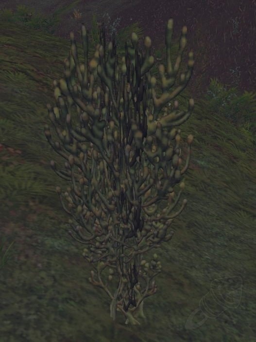 Fissure Plant - Object - Classic World of Warcraft