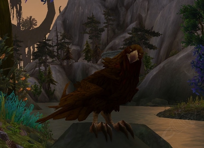 Highmountain Eagle - NPC - World of Warcraft