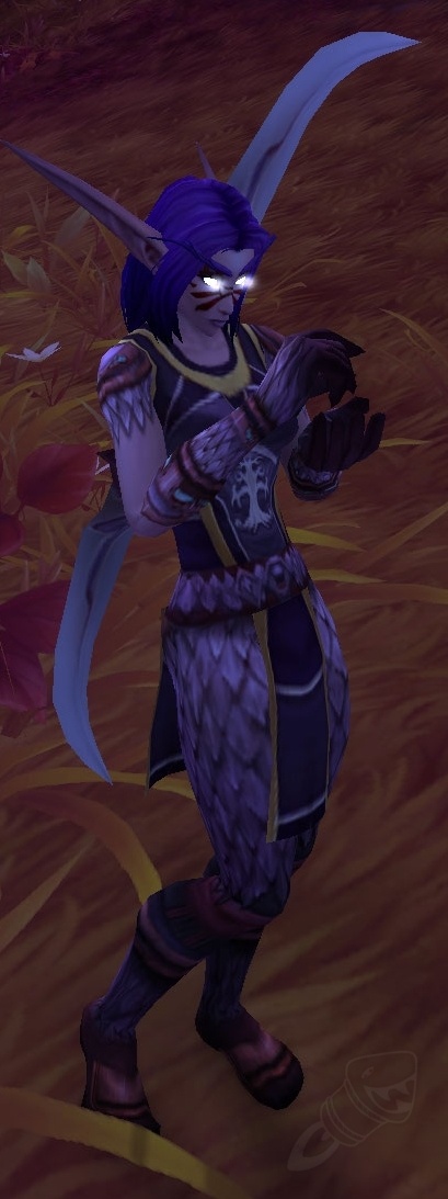 Darnassus Sentinel - NPC - World of Warcraft