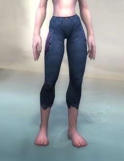 Weatherworn Pants - Item - World of Warcraft