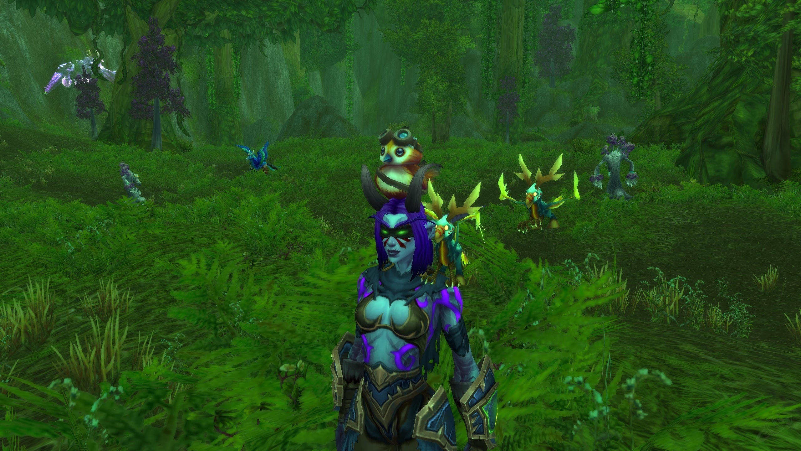 hippogryph - Gallery - World of Warcraft