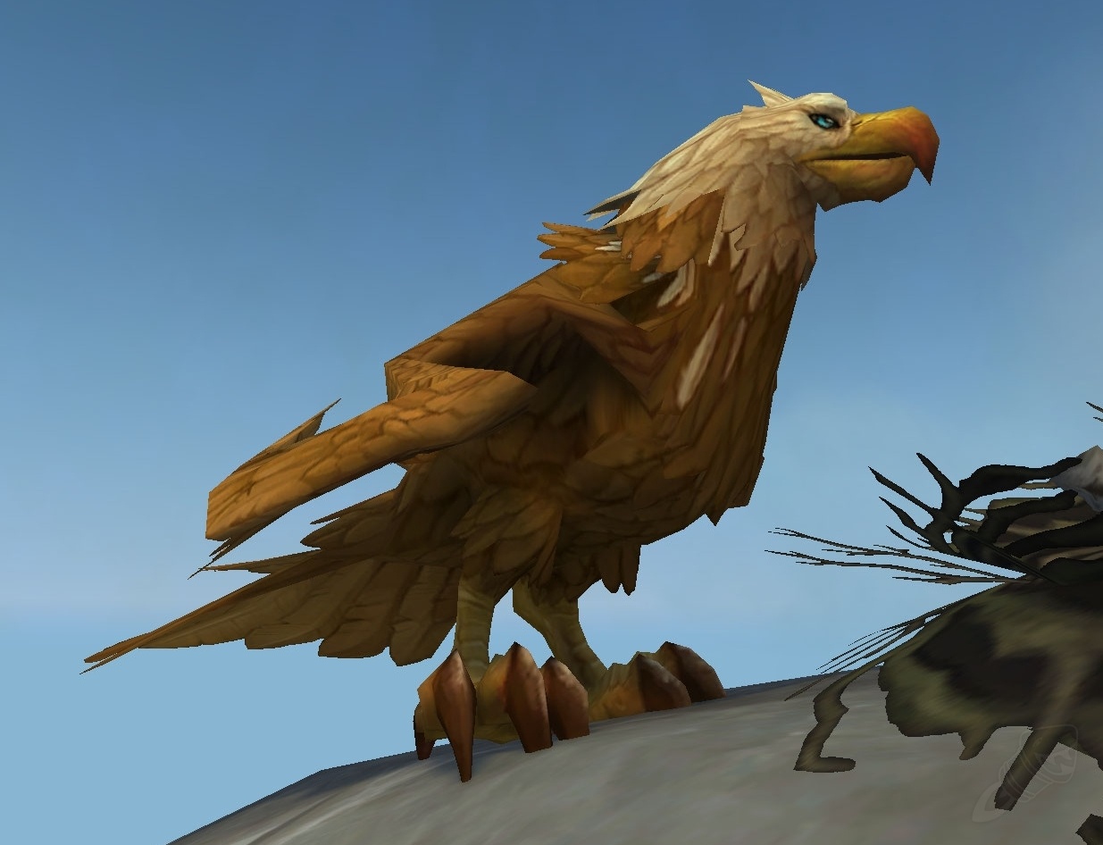 Great Eagle NPC World Of Warcraft