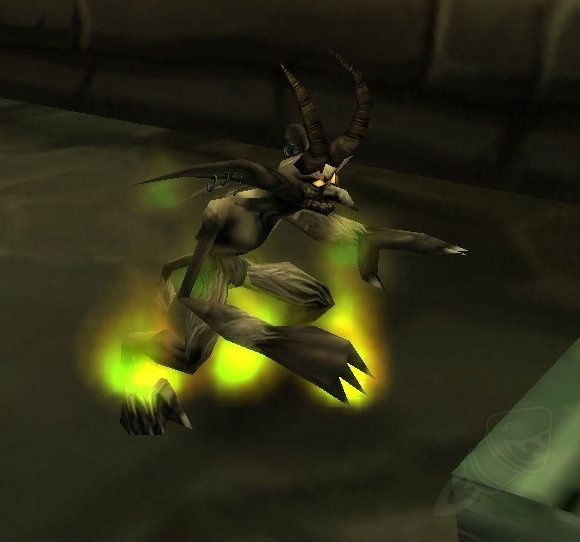 Jivil - PNJ - WotLK (clássico)