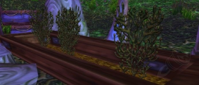 Sprouted Frond - Item - World of Warcraft
