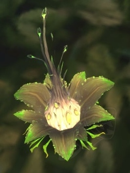Felwort Pustule - NPC - World of Warcraft