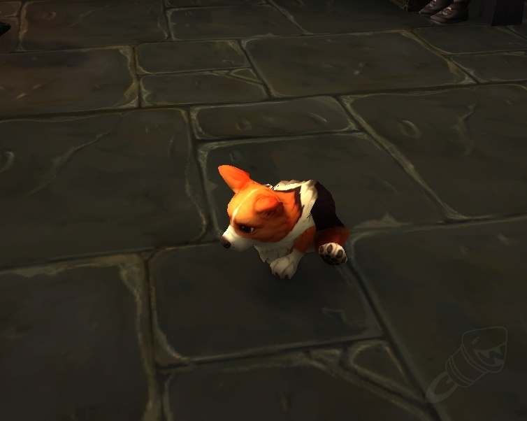 Dog - NPC - World of Warcraft