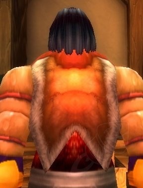 Rawhide Cloak - Item - WotLK Classic