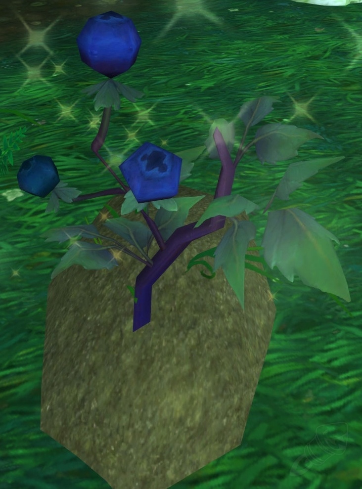 Dreamberry - Object - World of Warcraft