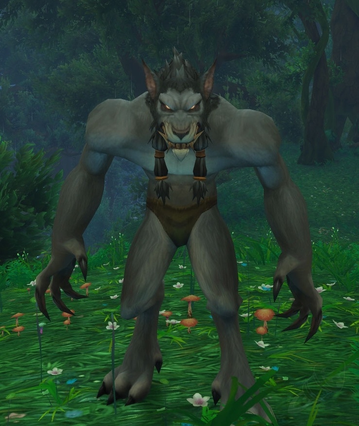 Worgen Feral - PNJ - World of Warcraft