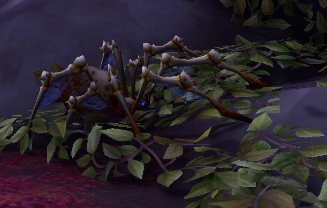 Ruins Recluse - NPC - World of Warcraft