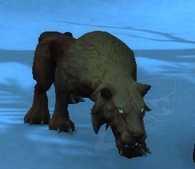 Cora - NPC - World of Warcraft