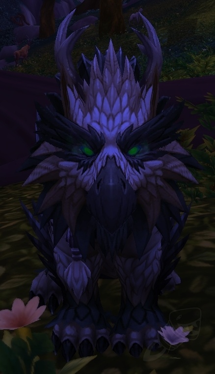 Caçador Aquifélix - PNJ - World of Warcraft