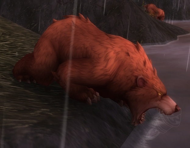 Hungry Thistle Bear - NPC - World of Warcraft